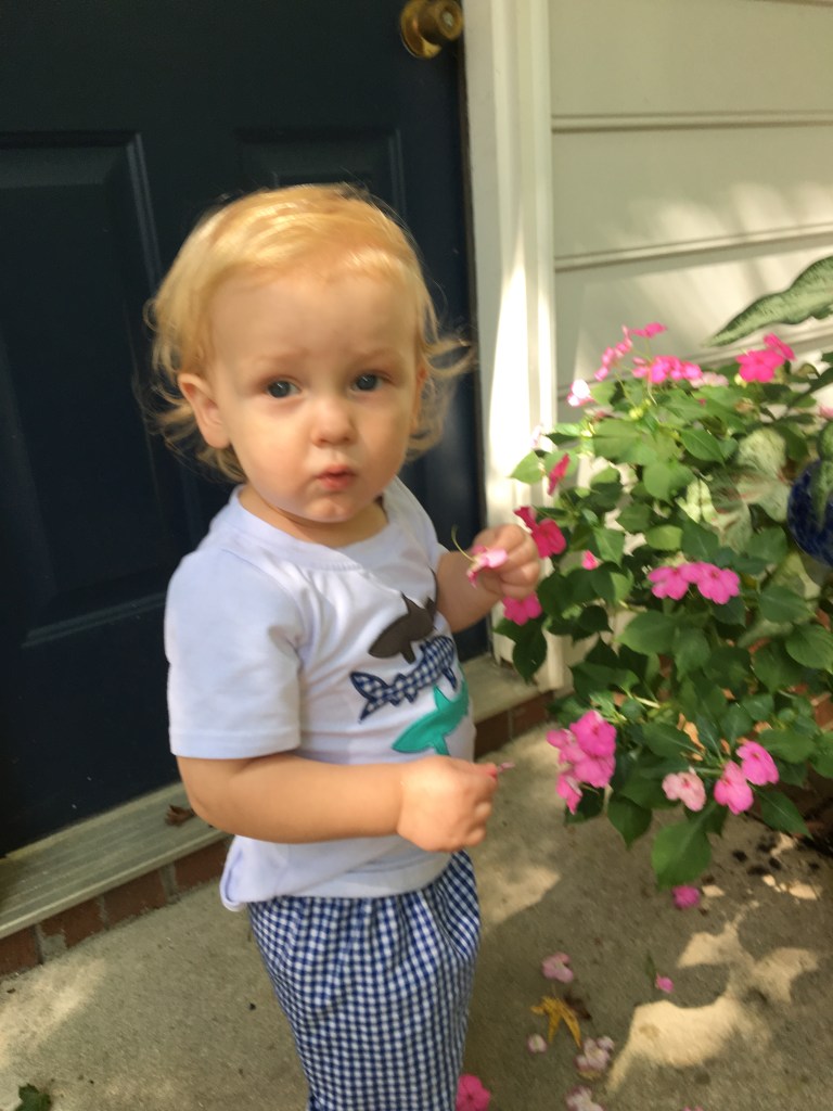 No Limits: “I Did It!” | Connie Rosser Riddle