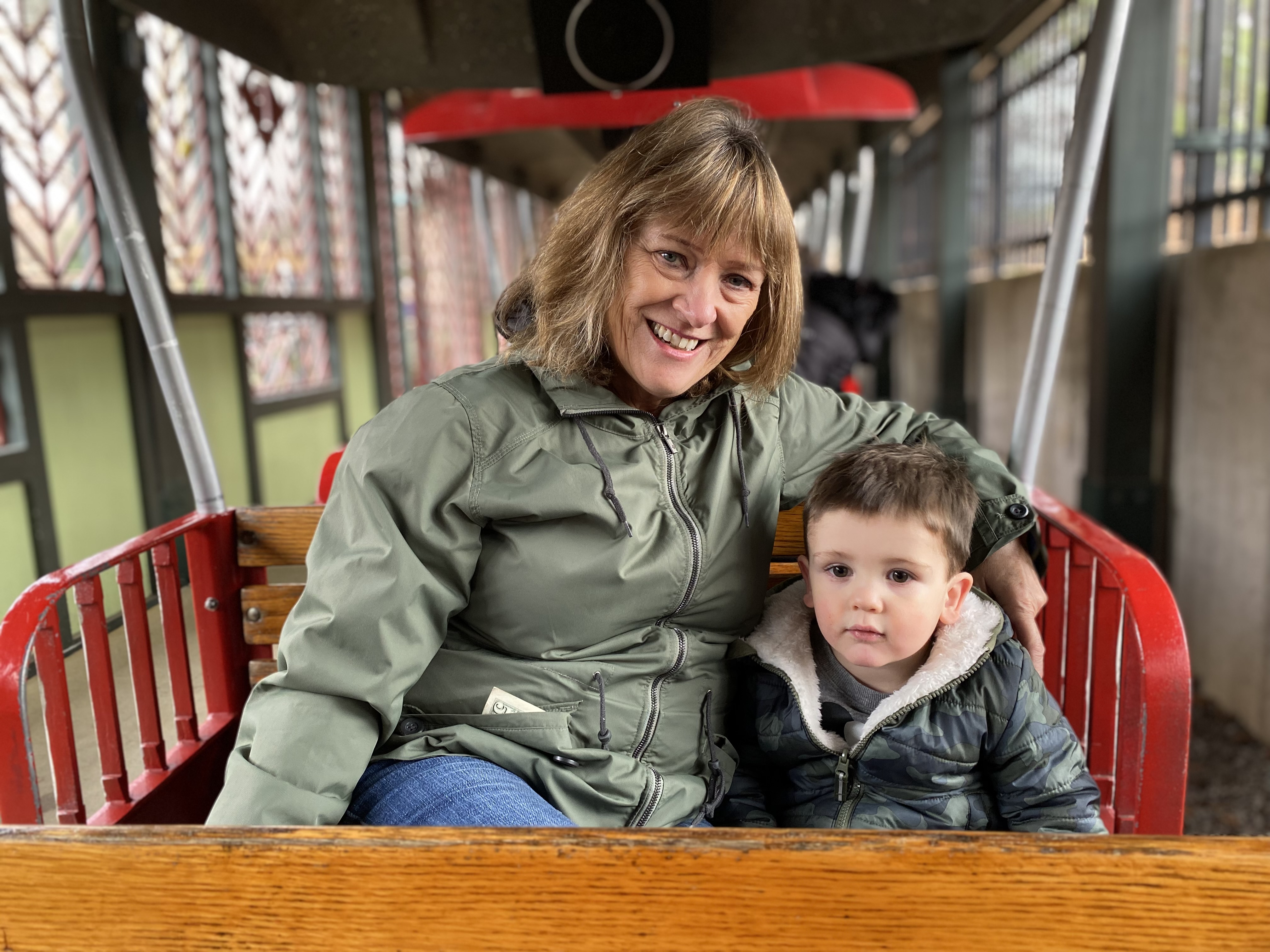 Riding a New Carousel | Connie Rosser Riddle