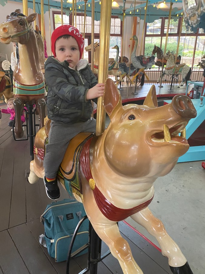 Riding a New Carousel | Connie Rosser Riddle