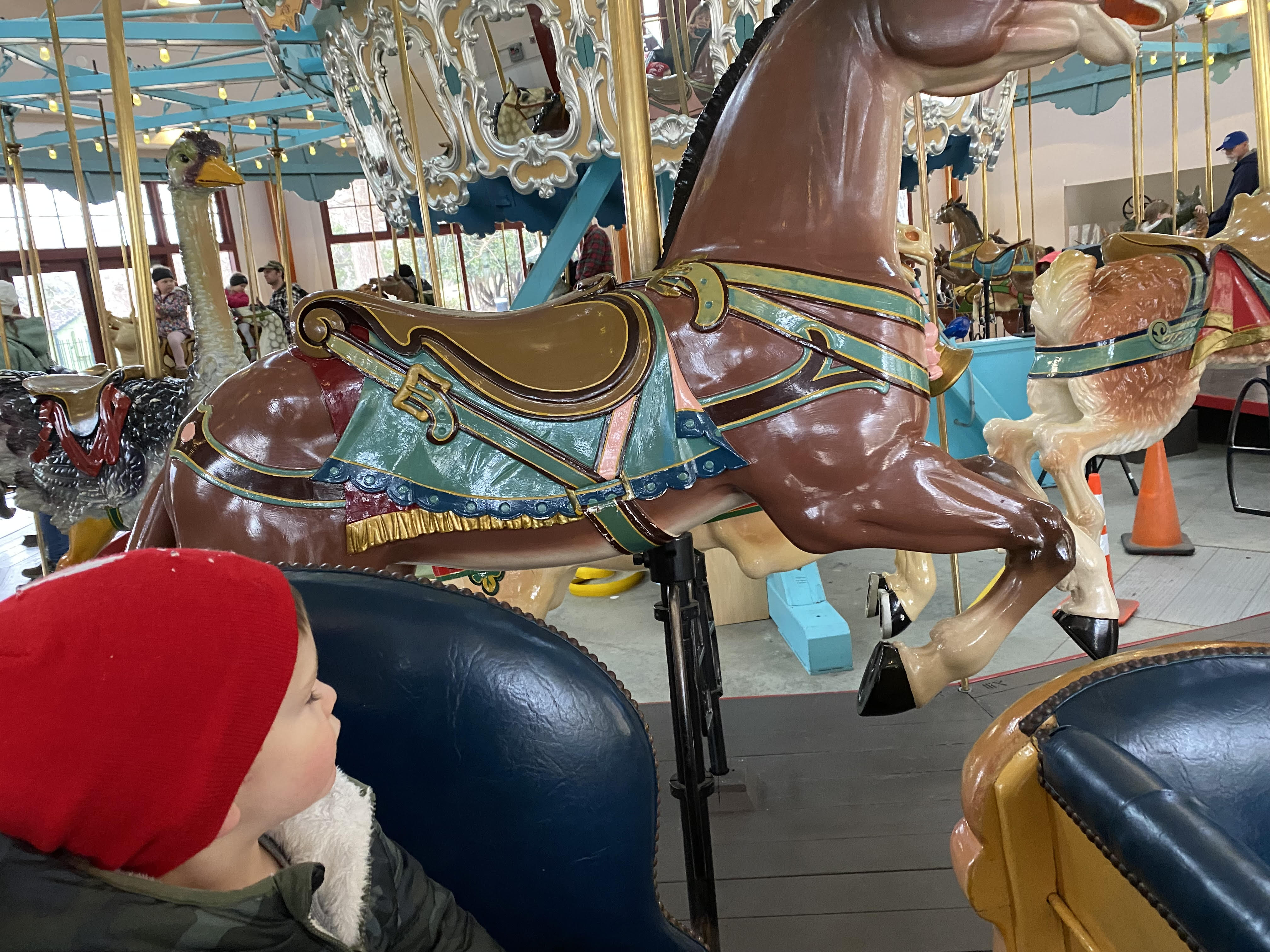 Riding a New Carousel | Connie Rosser Riddle