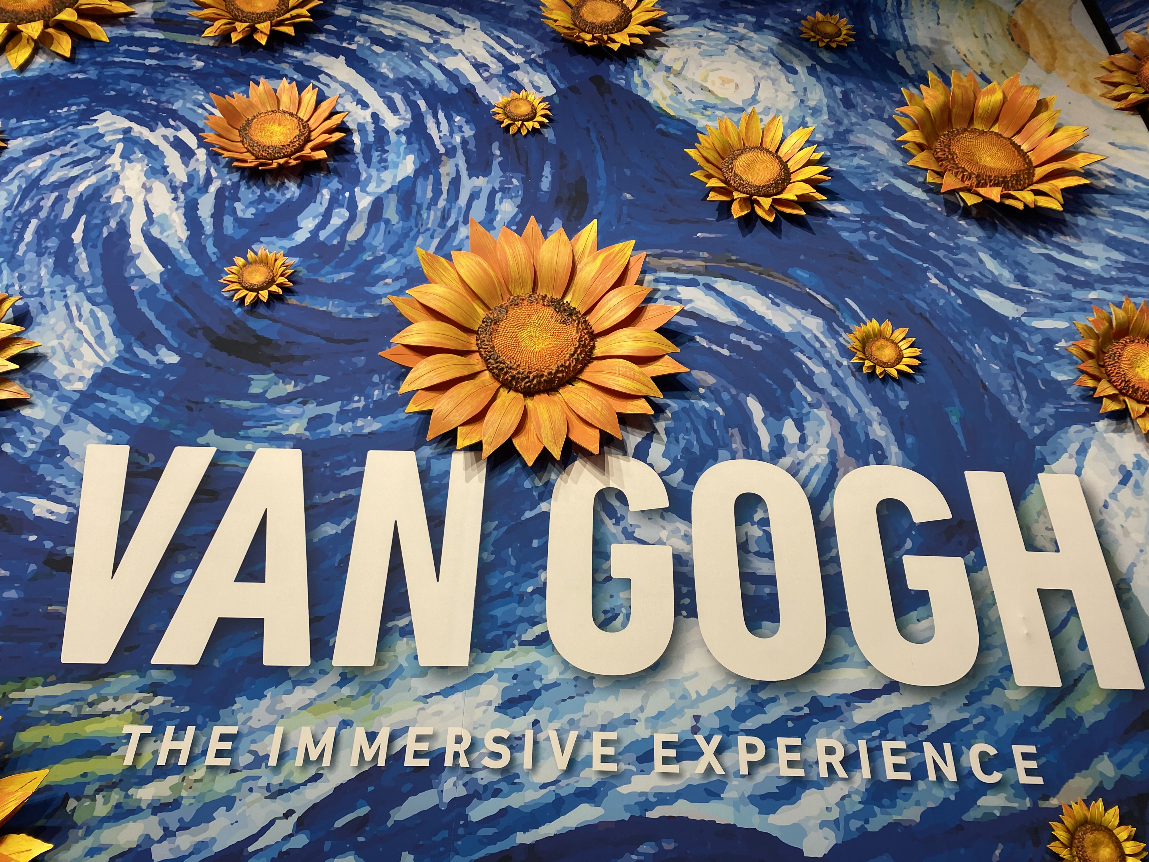 Immerse Yourself: Choosing the One Thing | Connie Rosser Riddle