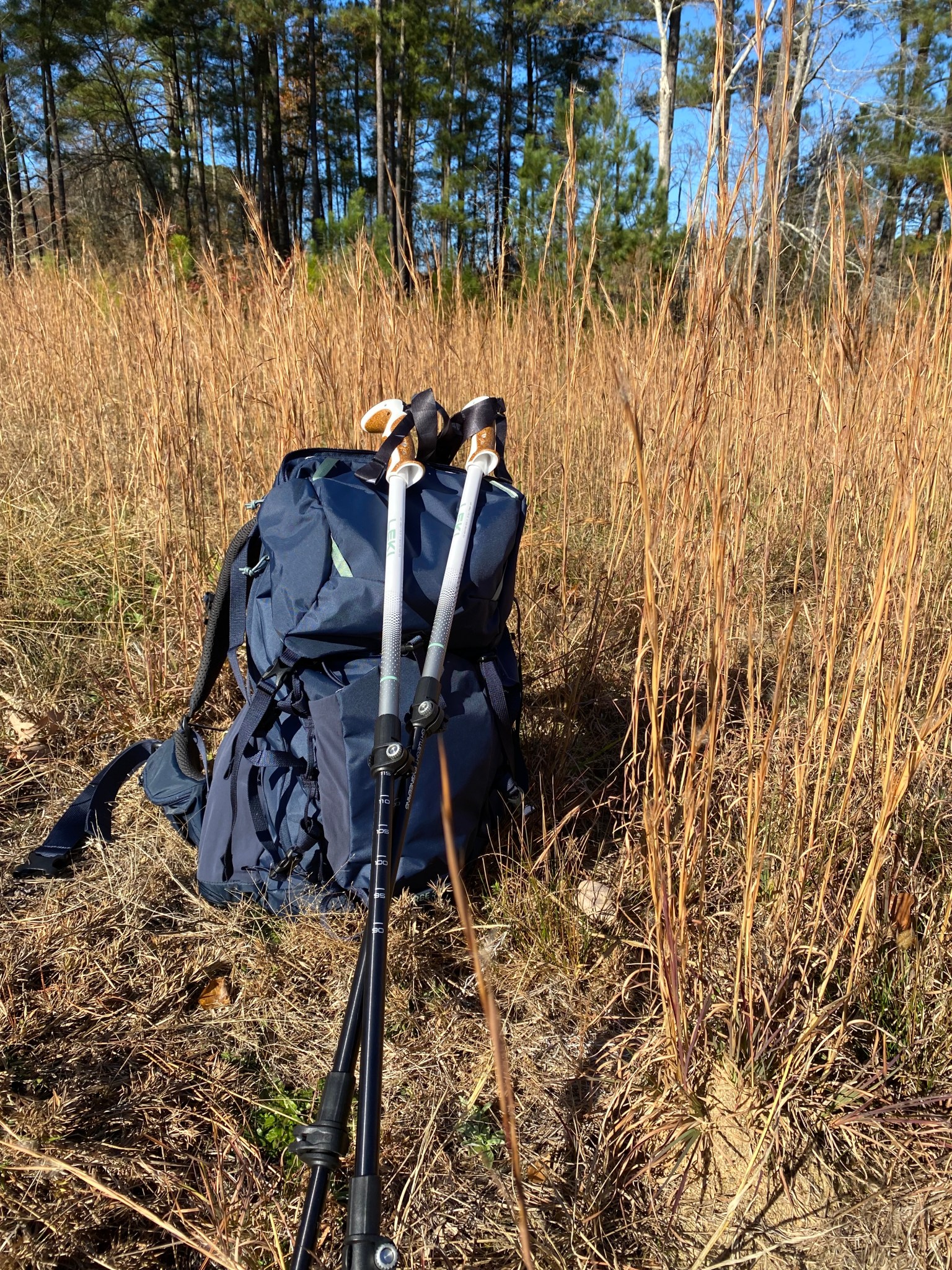 New Land of Discovery: The Gift of Nature | Connie Rosser Riddle
