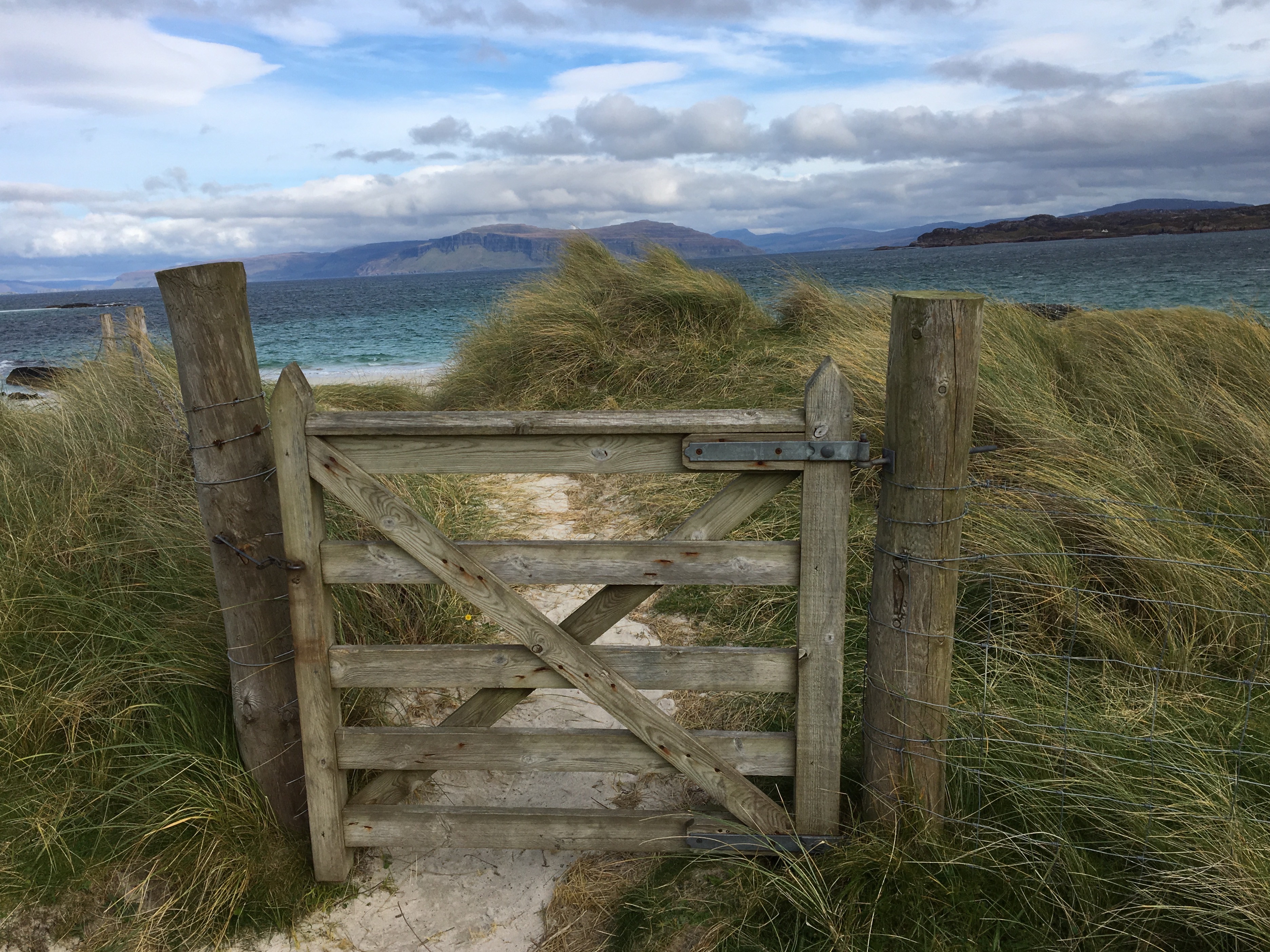 The Pilgrimage Within | Connie Rosser Riddle