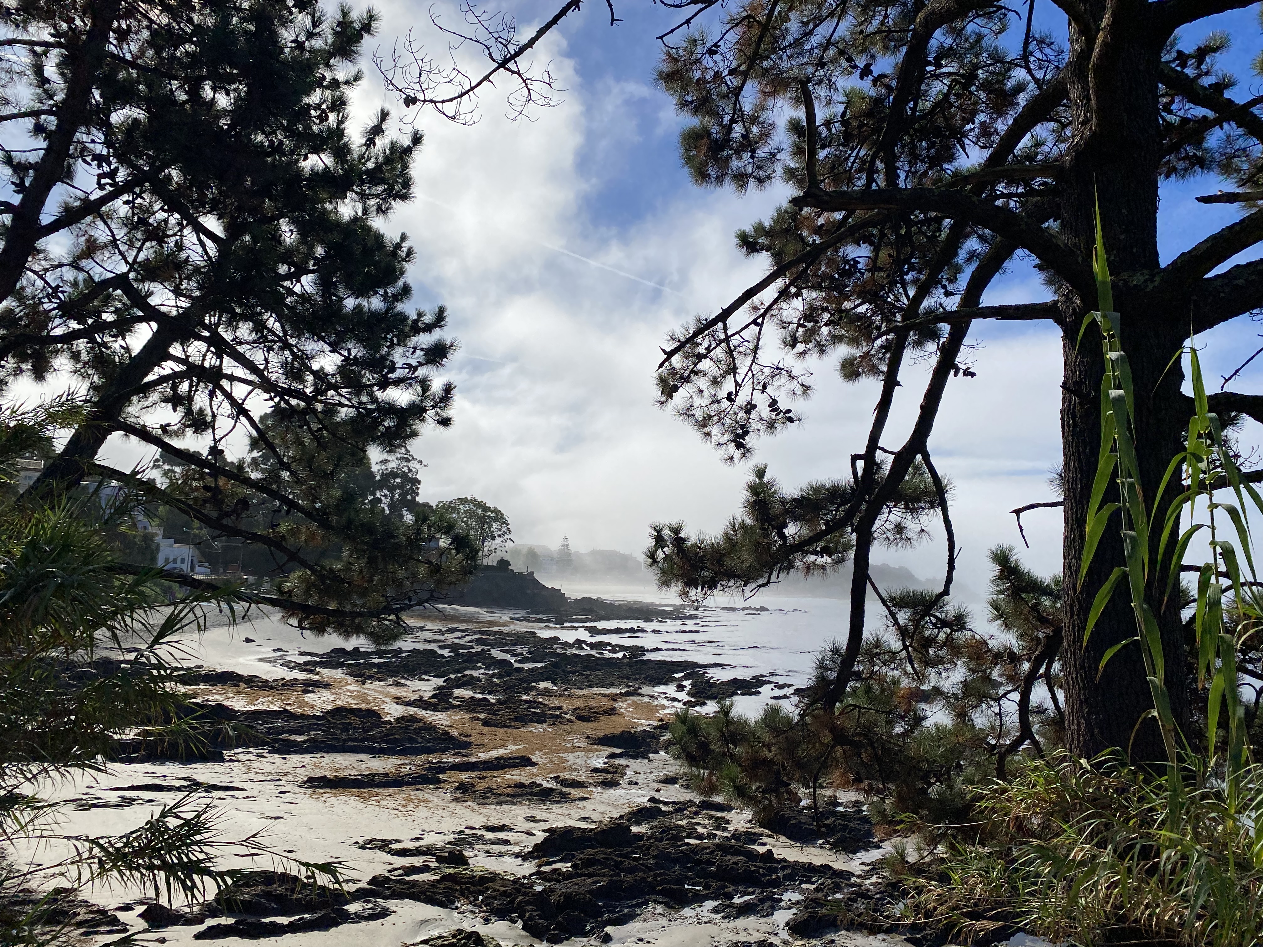 The Joys of Getting Lost | Connie Rosser Riddle